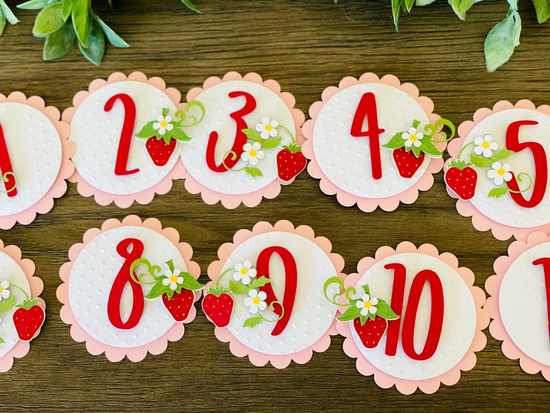 Strawberry Photo Banner, Berry Monthly Banner, Strawberry Decor - Etsy