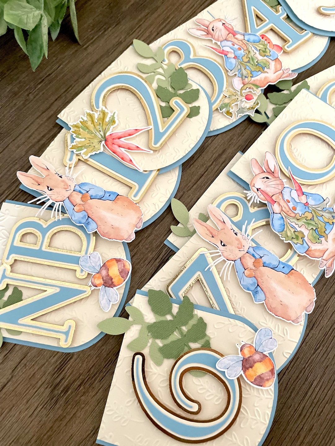 Peter Rabbit Photo Banner, Peter Rabbit Banner, Peter Rabbit Decor - Etsy