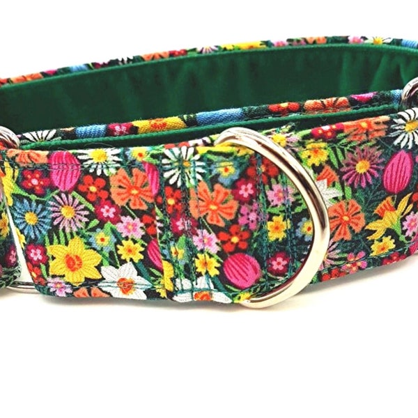 Sighthound Collar - Etsy