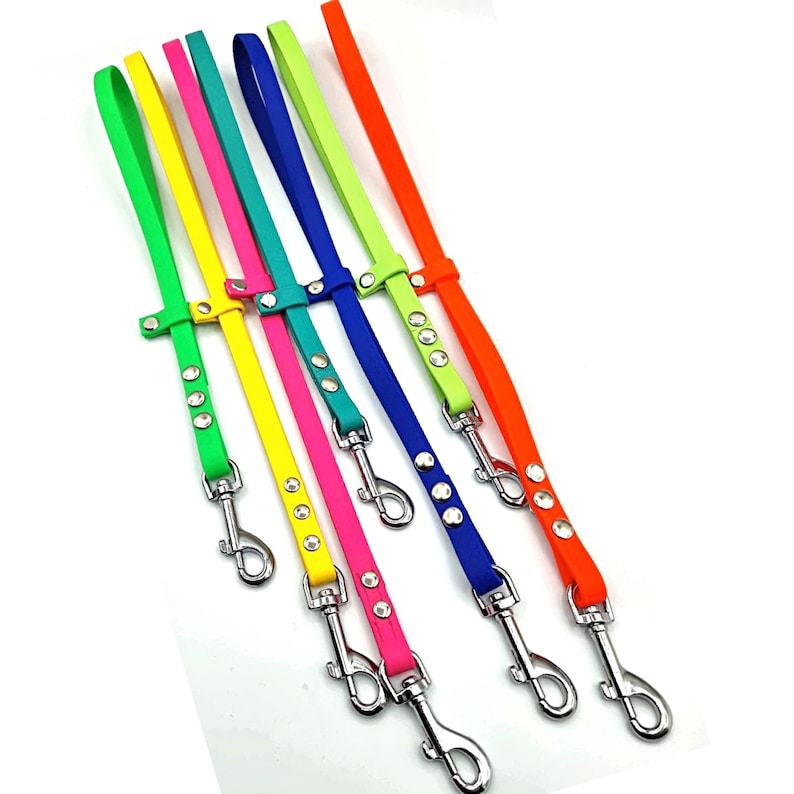 Biothane Waterproof Dog Grooming Loop – Noose, Multiple Colors - Etsy ...