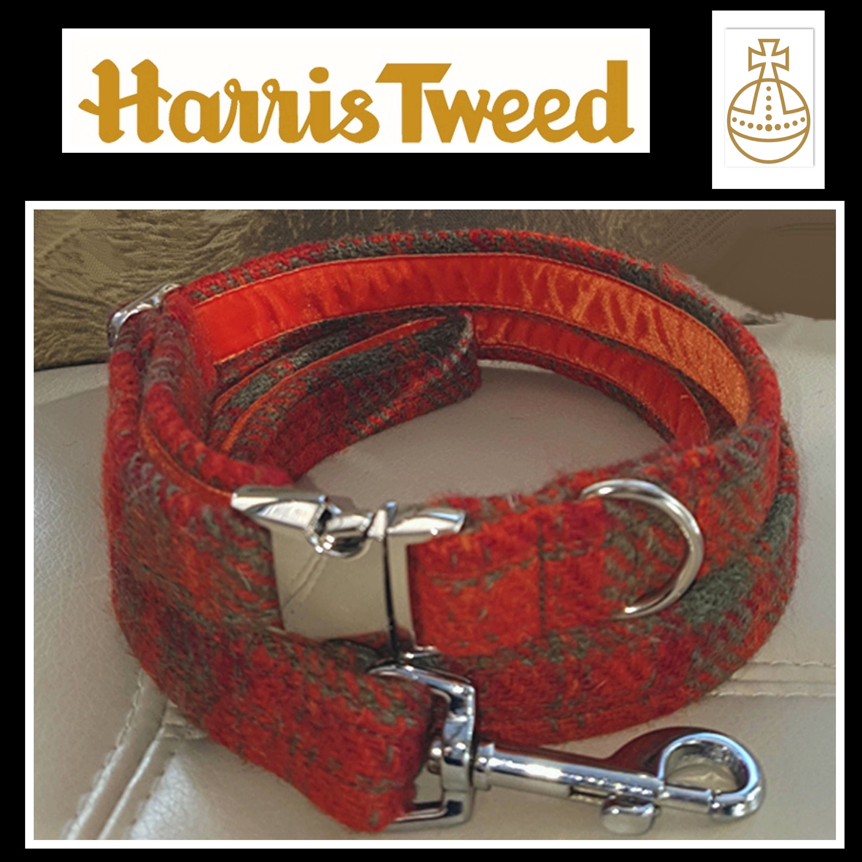 Harris Tweed Dog Collar Orange Tweed - Etsy UK
