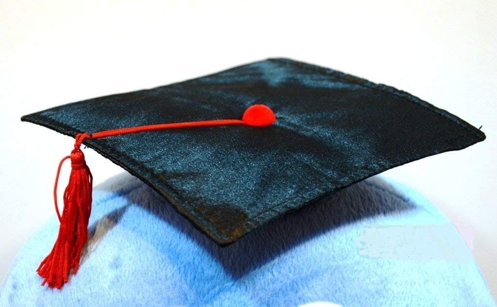 Removable Cap & Gown 14~18 Doraemon Graduation Plush Grad Gift Fluffy ...