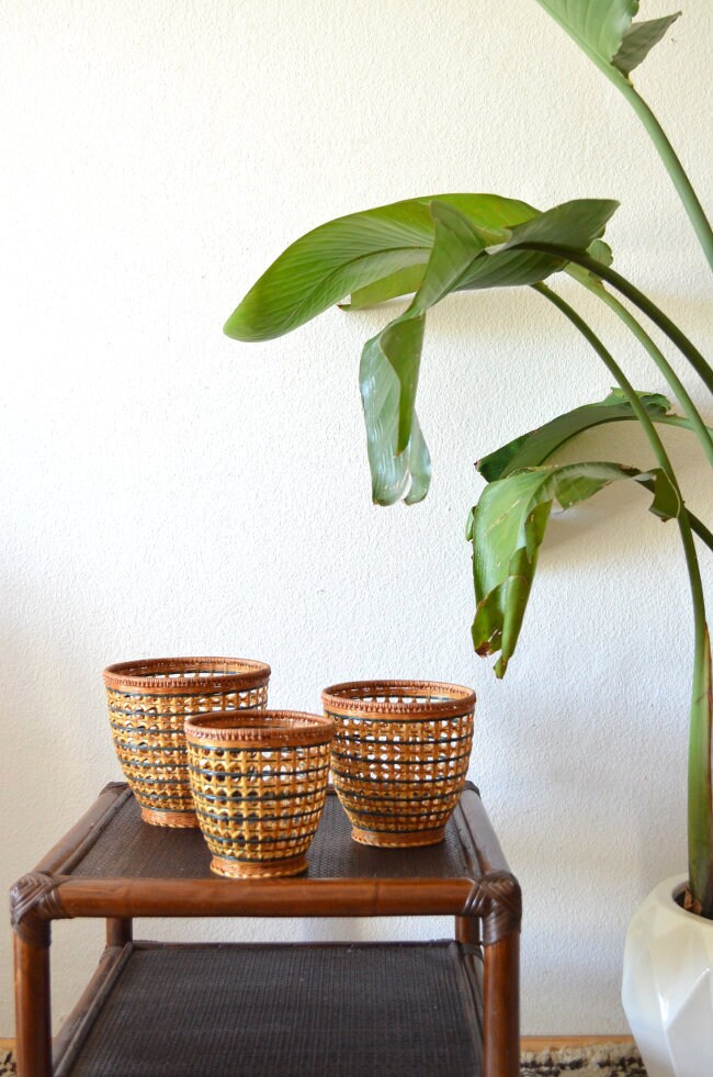 Set of three rattan flower pots Vintage wicker planter Plants green Boho