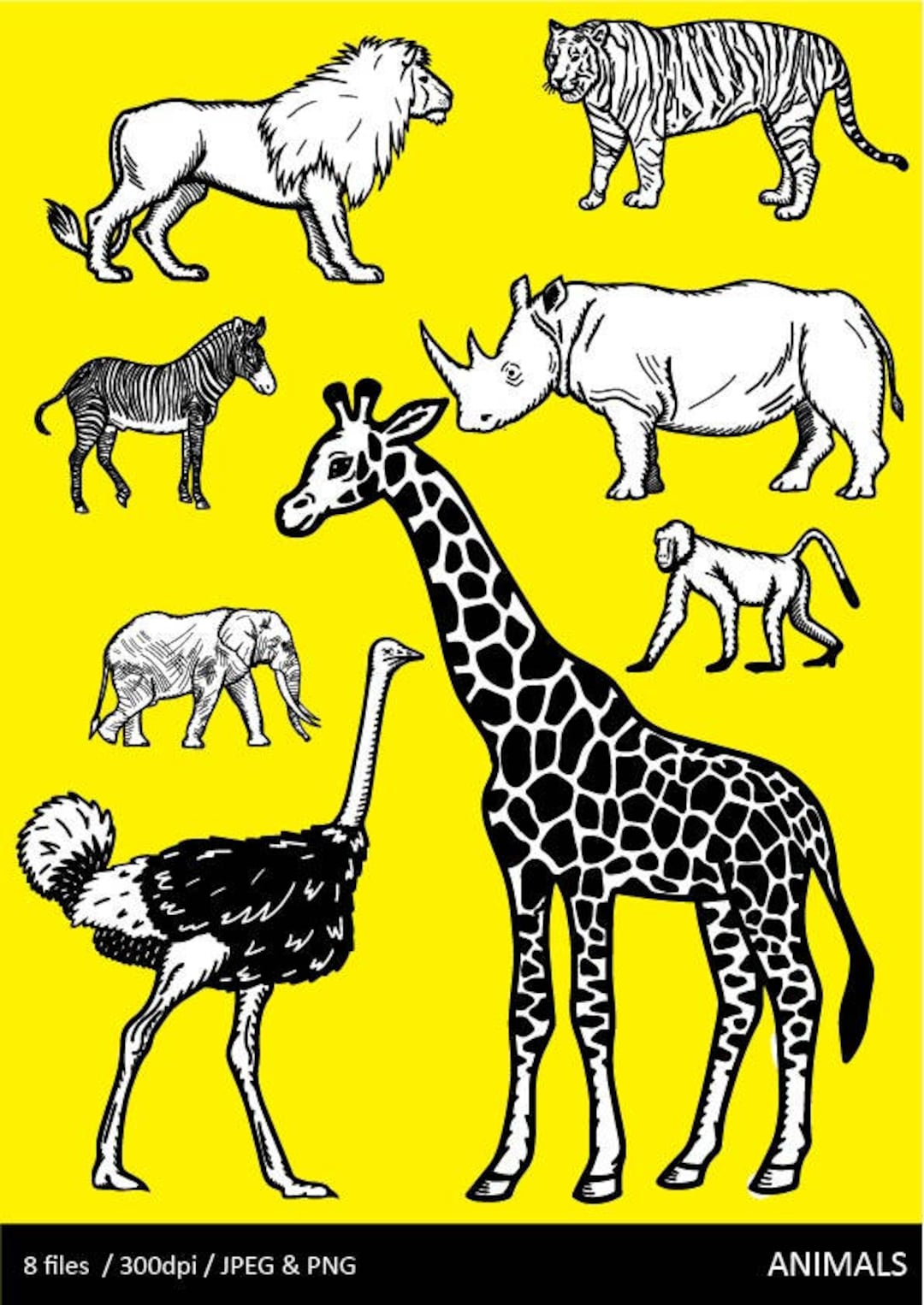 Black and White Animals Clip Art, Jungle Animals, Safari Animals, Zebra ...
