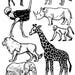 Black and White Animals Clip Art, Jungle Animals, Safari Animals, Zebra ...