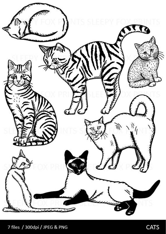 Black Cat Clip Art Black And White