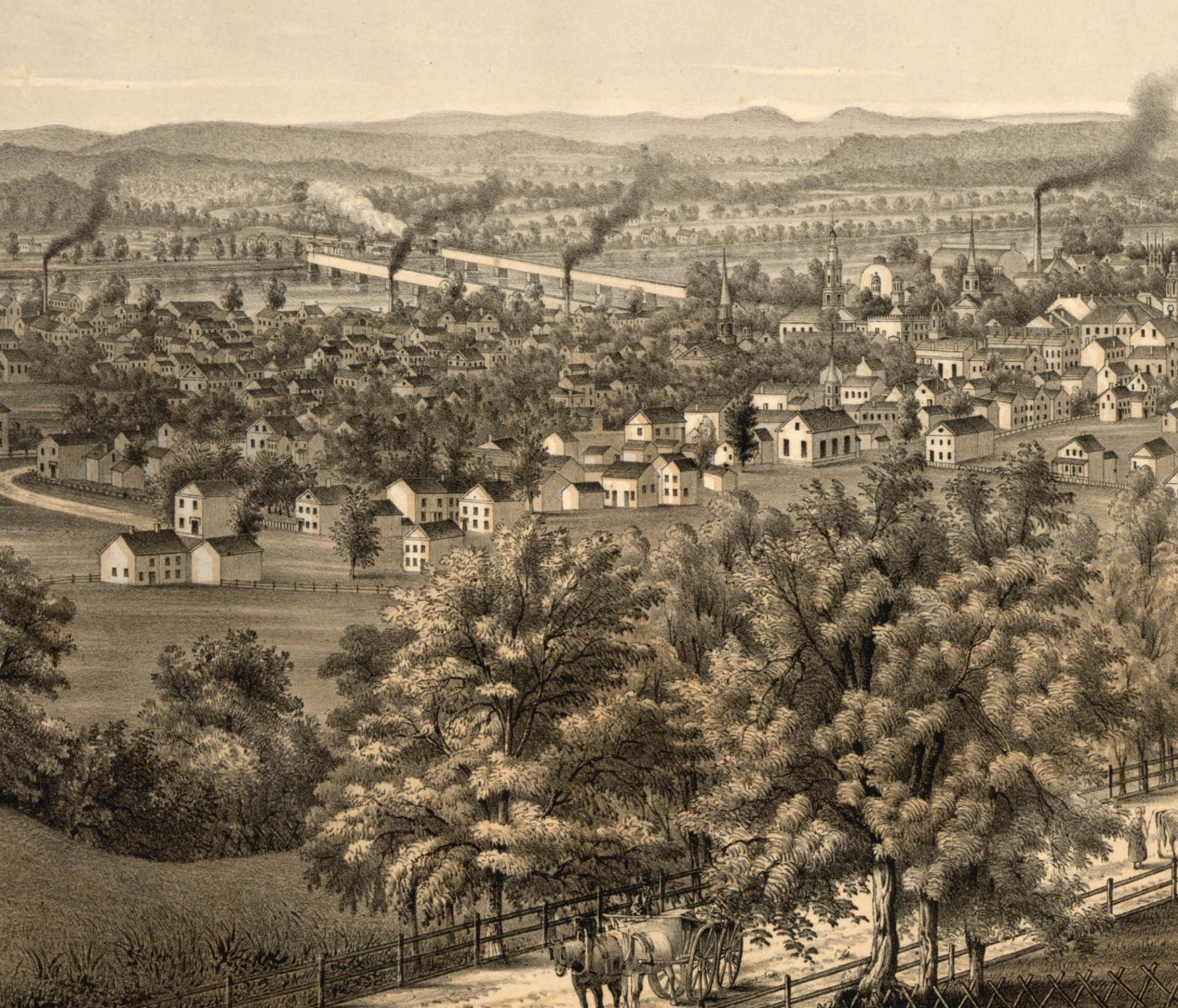 Springfield MA, 1850 24x36 Inch Print Reproduced From a Vintage ...