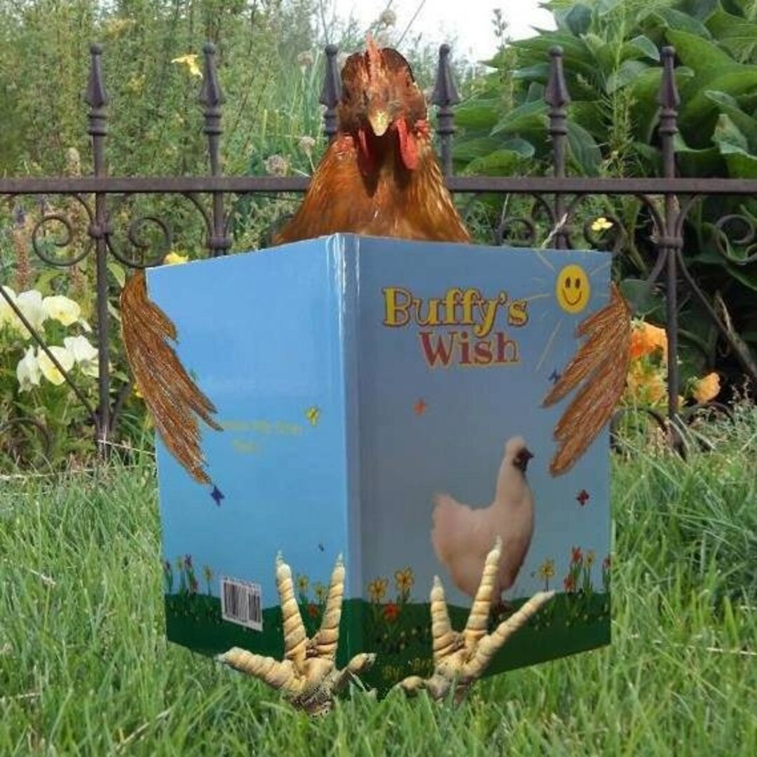 Buffy's Wish, Children's Storybook, Baby Farm Animals, Birthday Gift ...