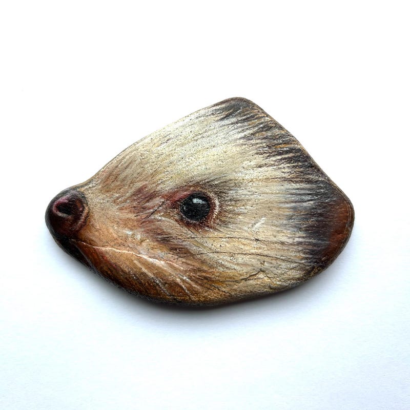 Paint Hedgehog Rock - Etsy