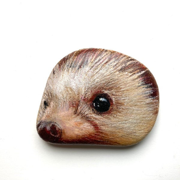 Hedgehog Rock - Etsy