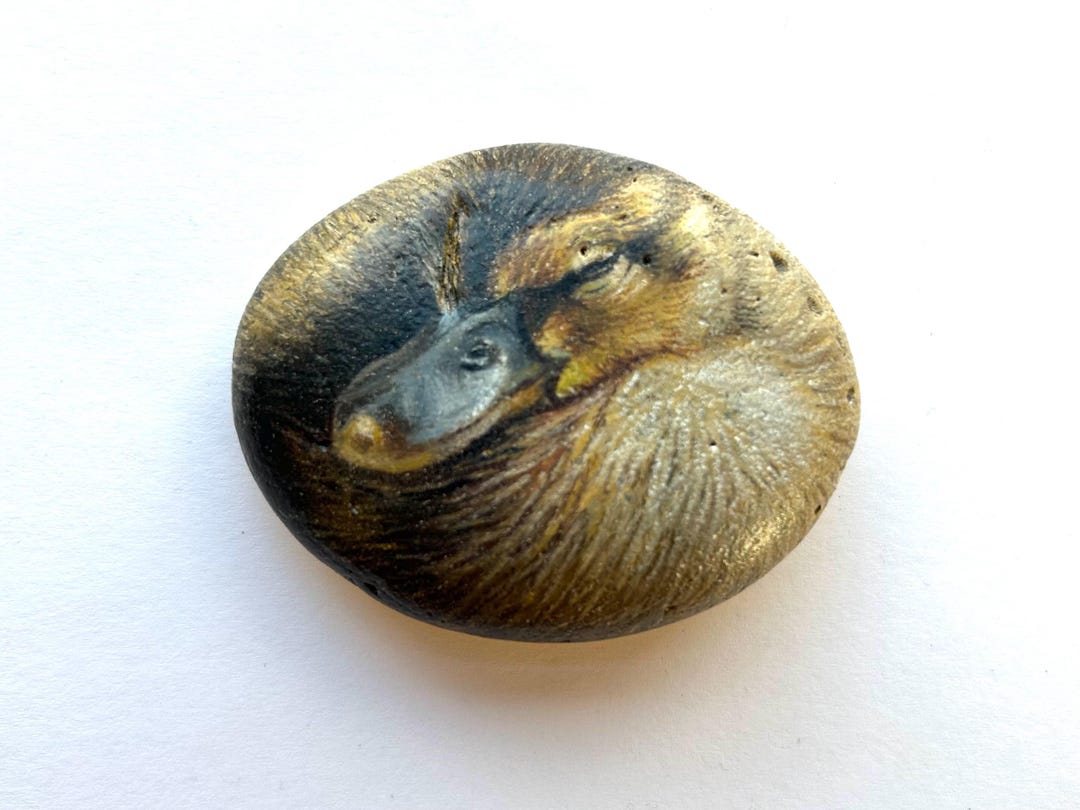 Duck Rock Duckling Paperweight - Etsy