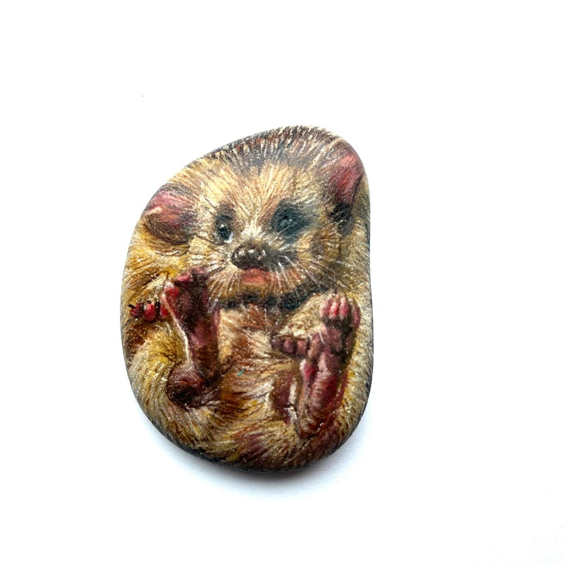 Paint Hedgehog Rock - Etsy