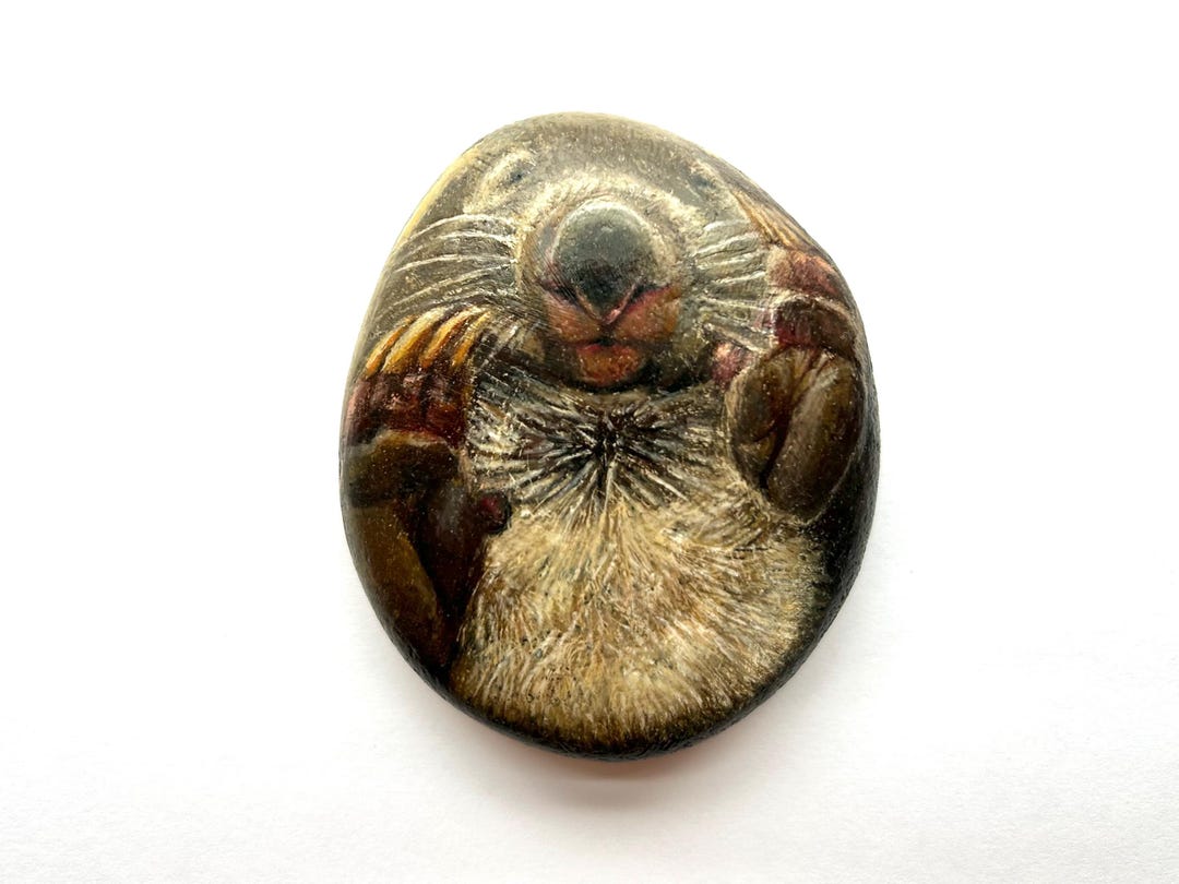 Wombat Rock | Animal Rock Art | Baby Wombat Paperweight - Etsy