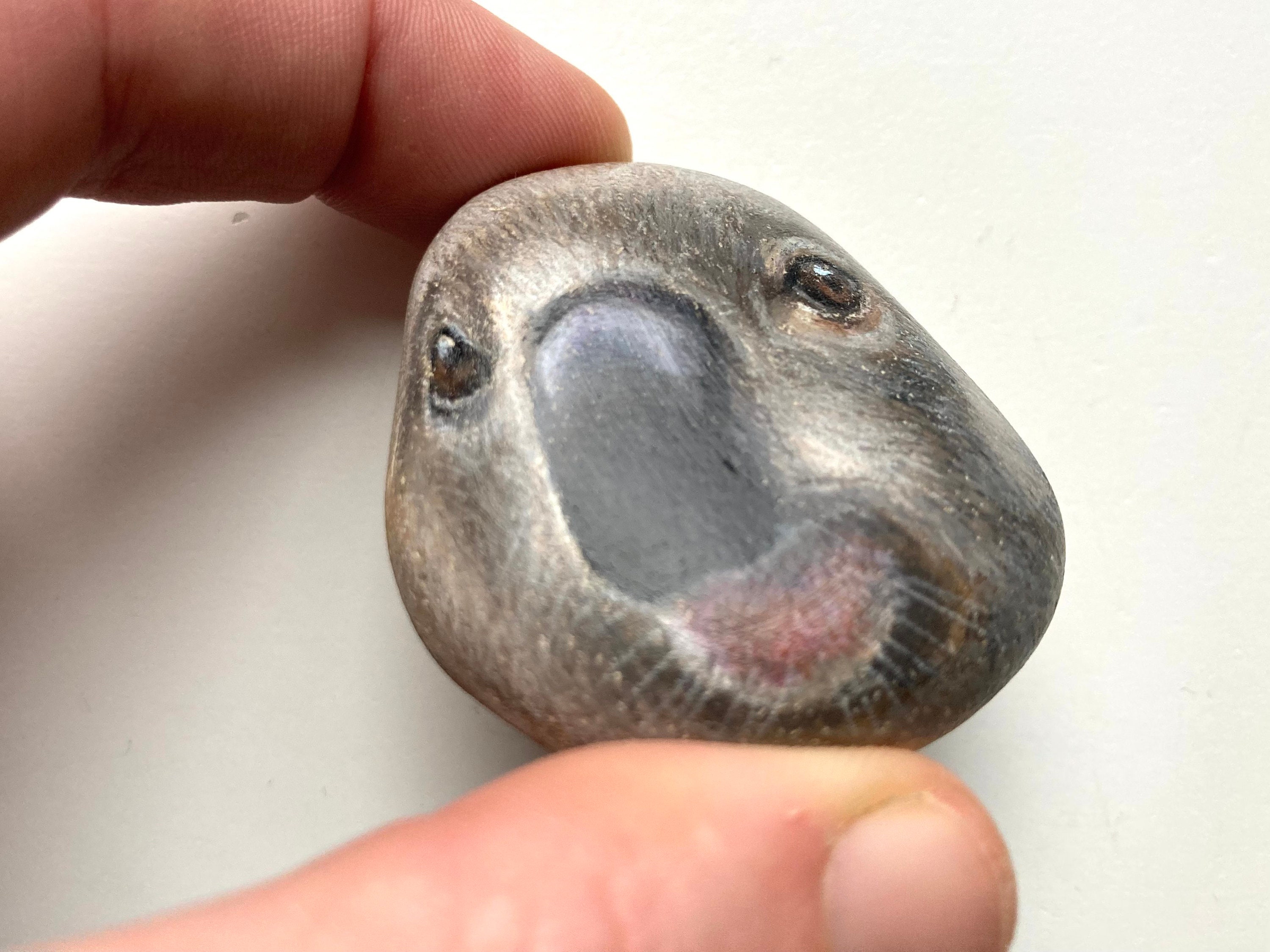 Koala Rock Koala Worry Stone Animal Rock Art - Etsy