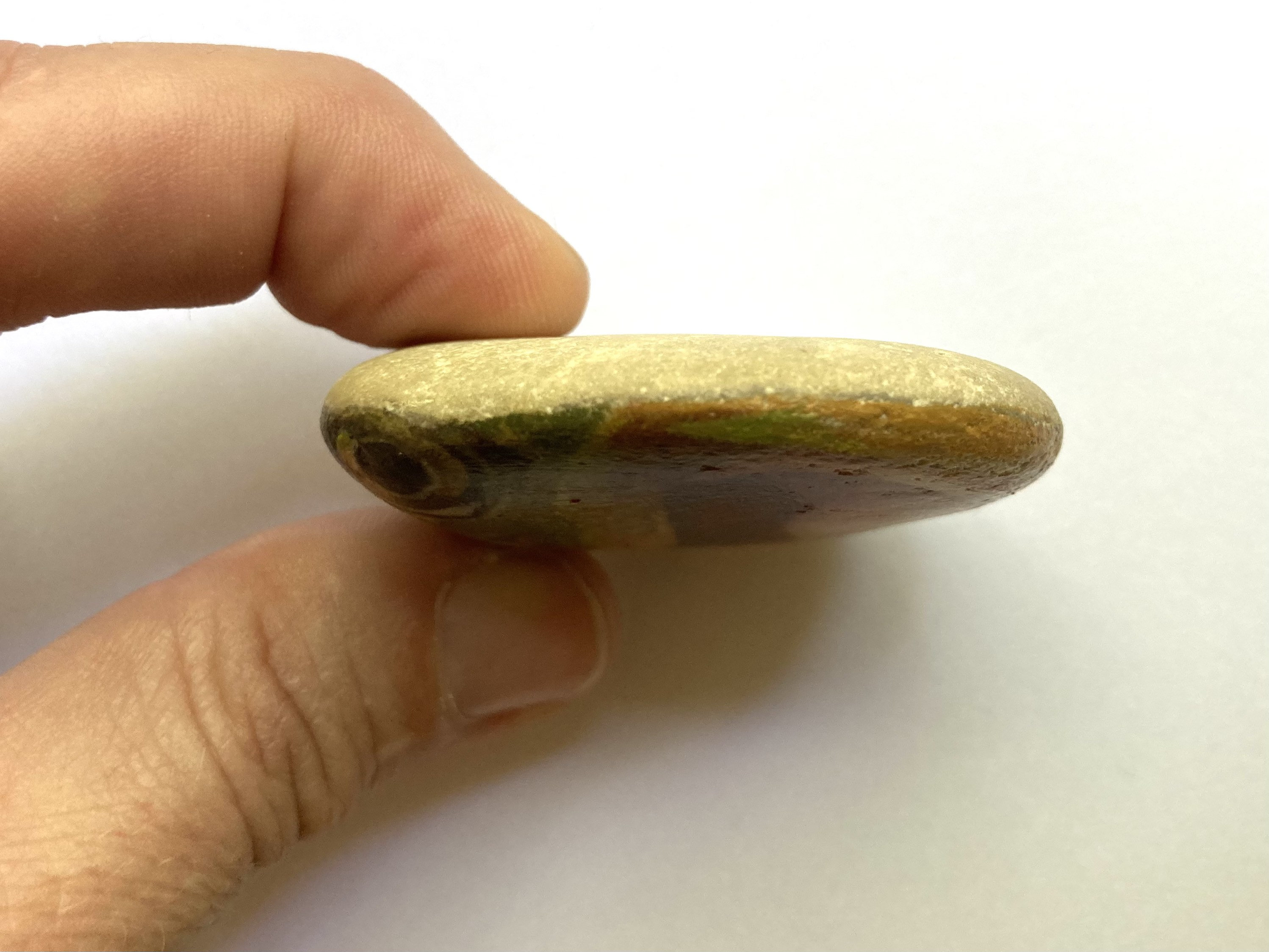 Frog Worry Stone Animal Rock Art - Etsy