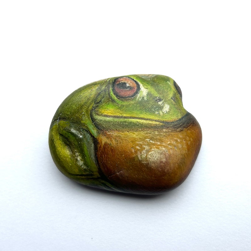 Frog on a Rock - Etsy