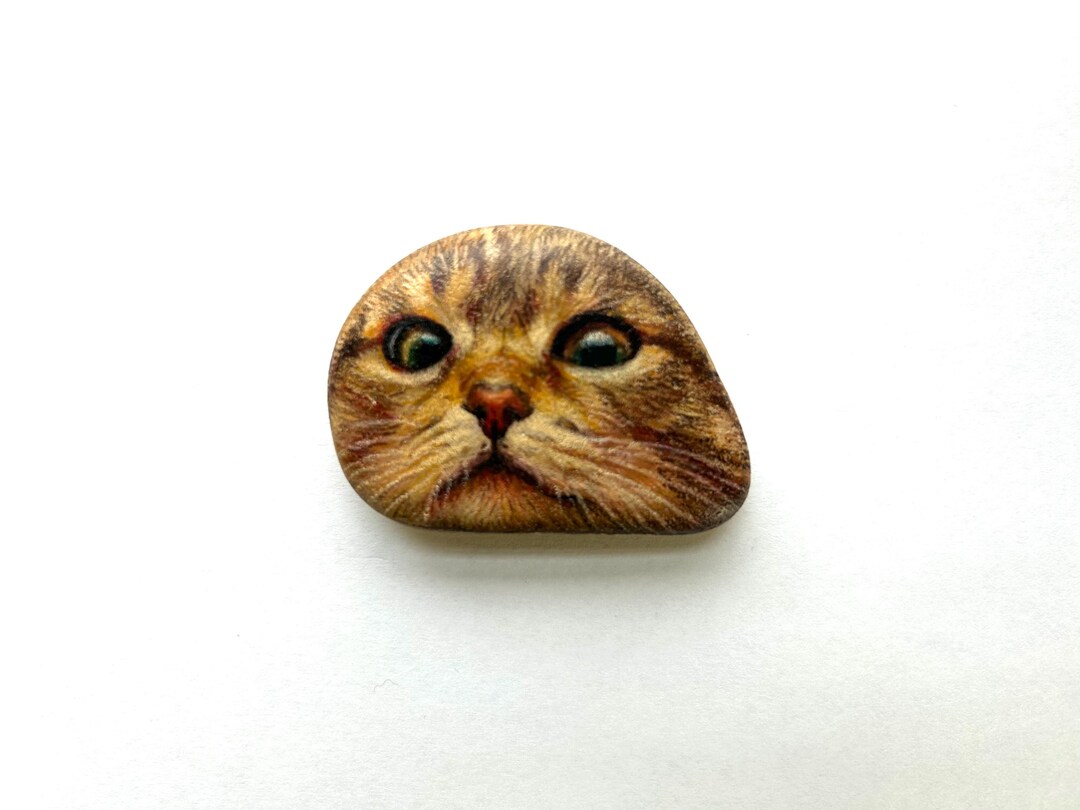 Scaredy Cat Worry Stone | Cat Rock | Animal Rock Art | Judgy Kitty - Etsy