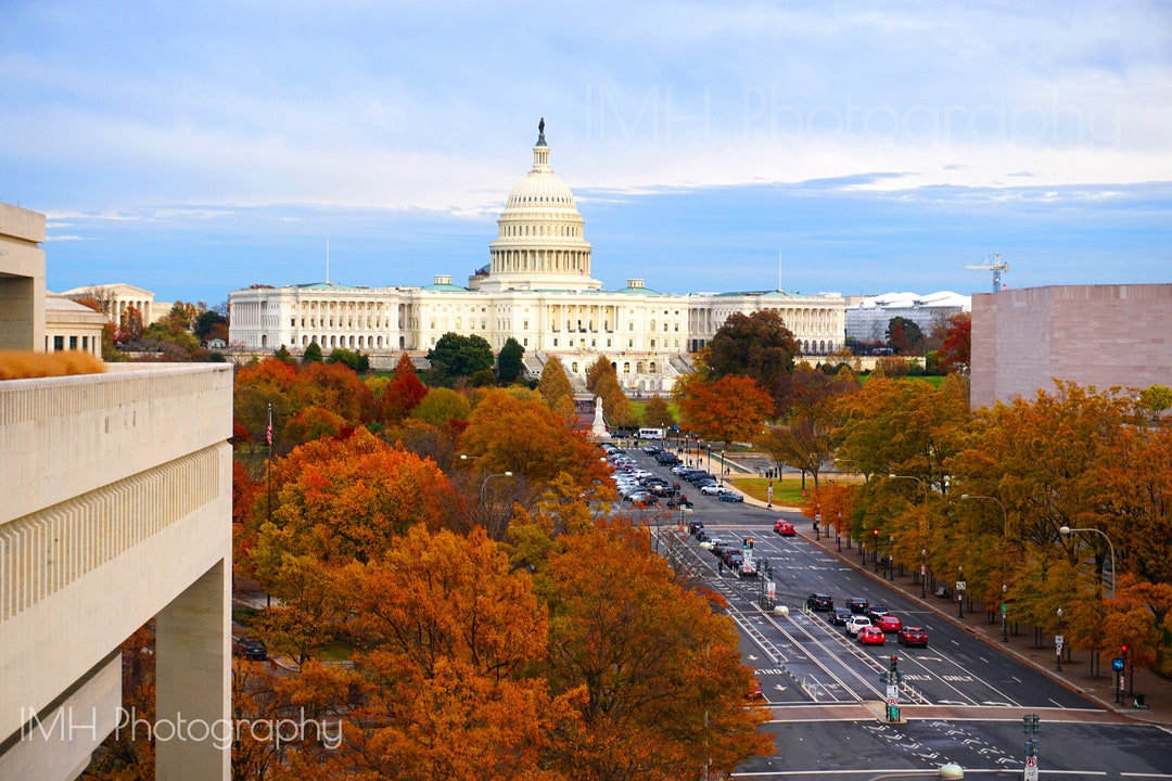 Falling for DC - Capital, Capitol, Leaves, Road, Fall, Trees, Autumn ...