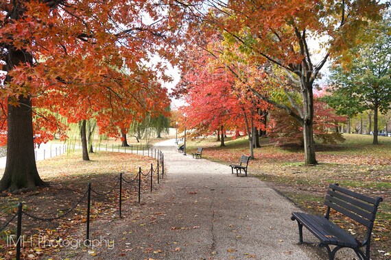 The Mall in Fall Capital Leaves Road Trees Autumn Road - Etsy