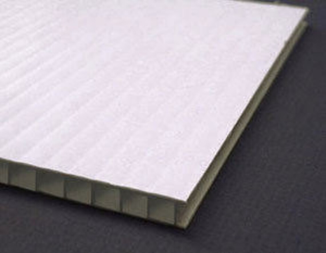 Jumbo Check Fundraiser Check Charity Check Super Size - Etsy