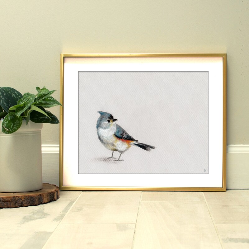 Tufted Titmouse - Etsy
