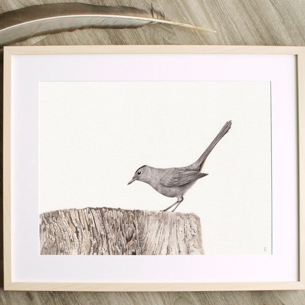 Catbird - Etsy