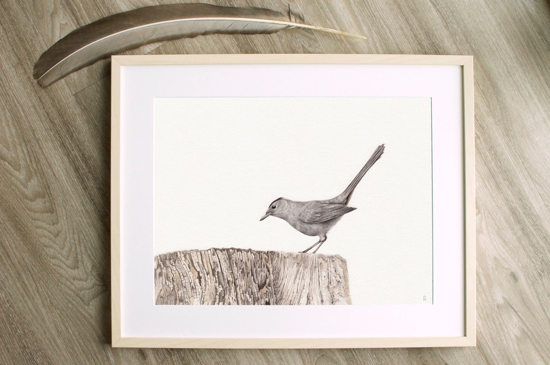 Gray Catbird Art Print Wildlife Art Print Outdoor Gift - Etsy