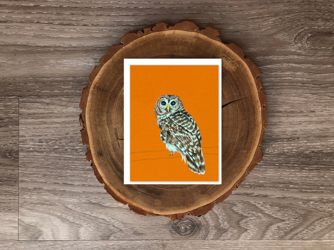 Barred Owl Blank Greeting Card - Etsy