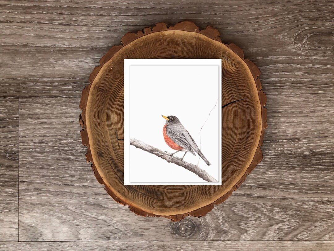 American Robin Blank Greeting Card - Etsy