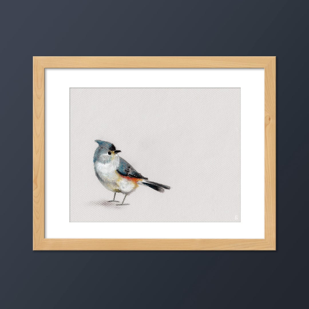 Tufted Titmouse Bird Art Print - Etsy