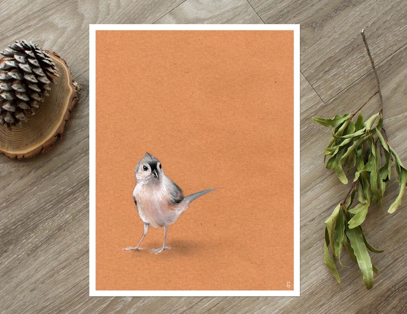 Titmouse Bird Art Print Wildlife Art Print Outdoor Gift Birding Decor ...