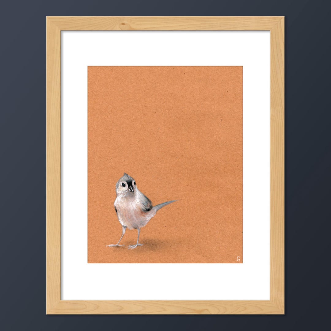 Tufted Titmouse Bird Art Print - Etsy