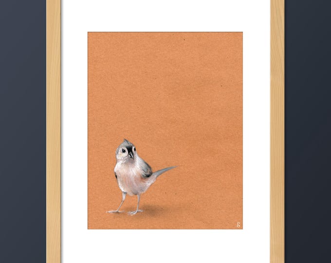 Tufted Titmouse Bird Art Print - Etsy