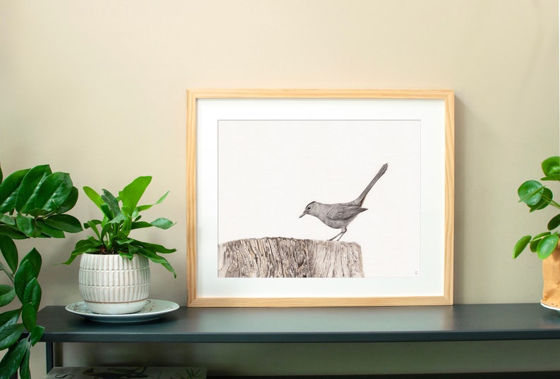 Gray Catbird Art Print - Etsy
