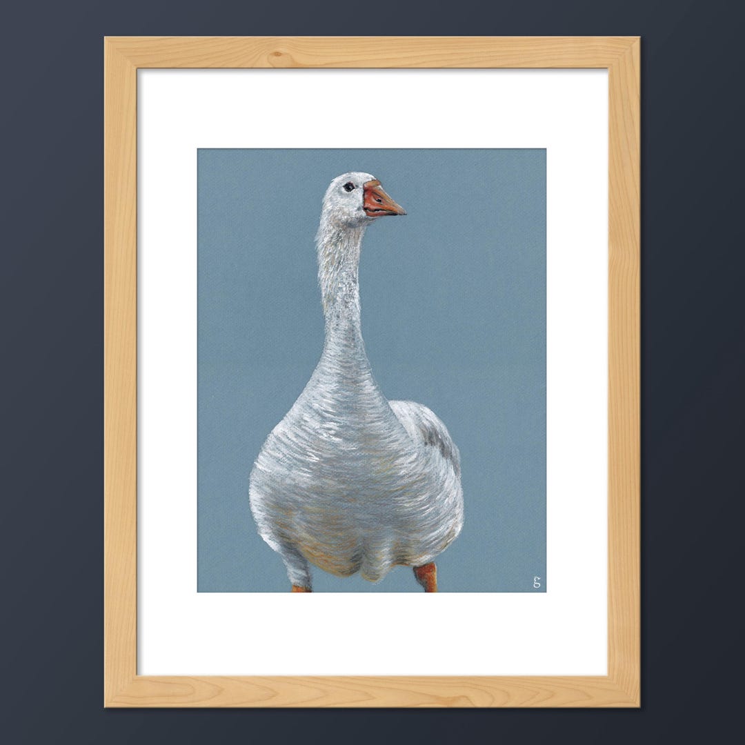 White Embden Mother Goose Bird Art Print - Etsy