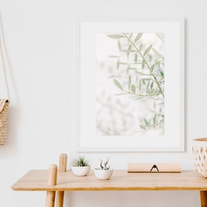 Olive Tree Print Olive Tree Wall Art Italy Art Print | Etsy