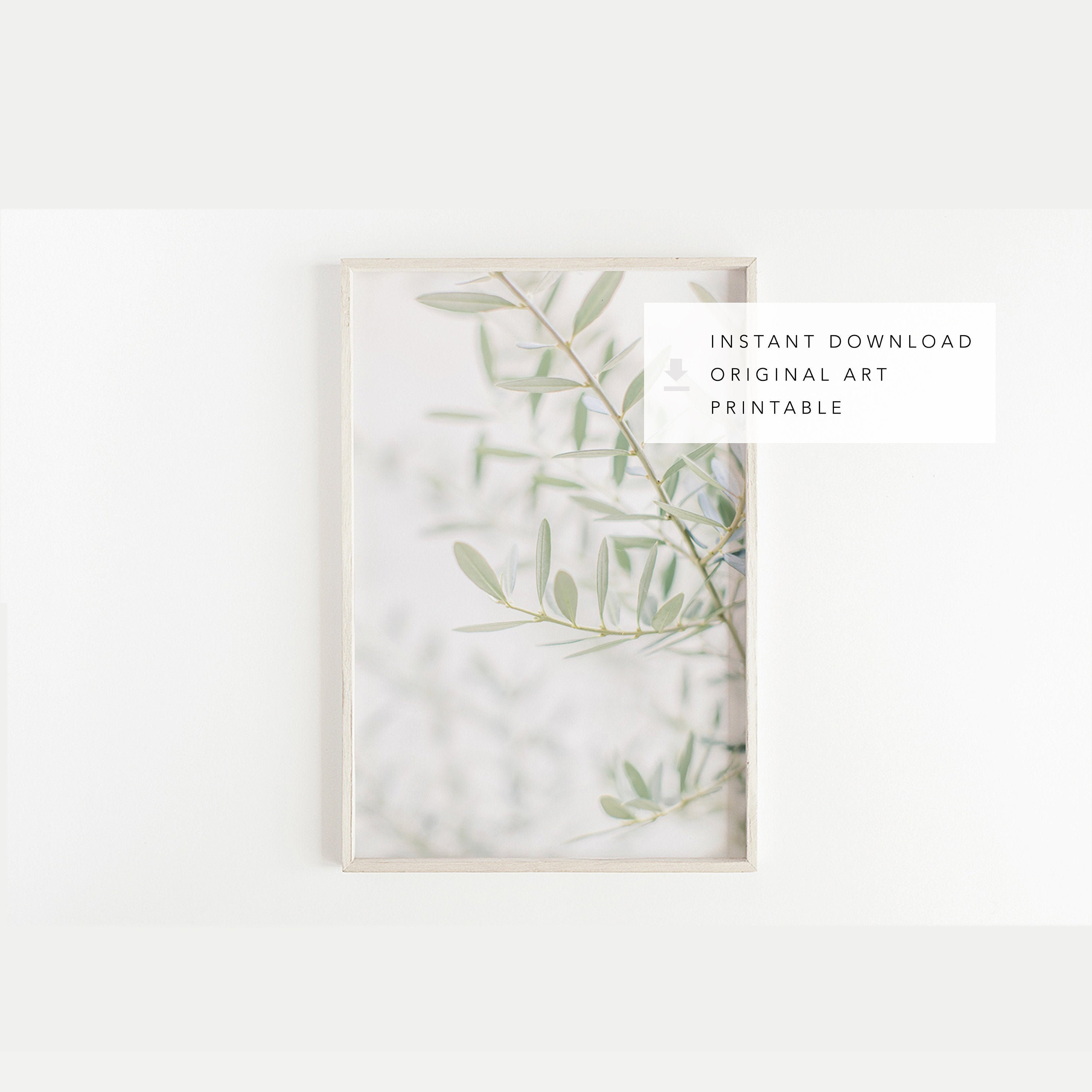 Olive tree print olive tree leaves wall art italy travel | Etsy