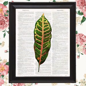 Croton Plant Image Print on Book Page Croton Art Print House - Etsy