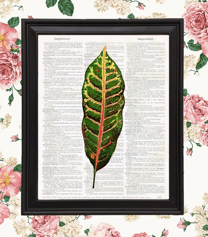 Croton Plant Image Print on Book Page Croton Art Print House - Etsy