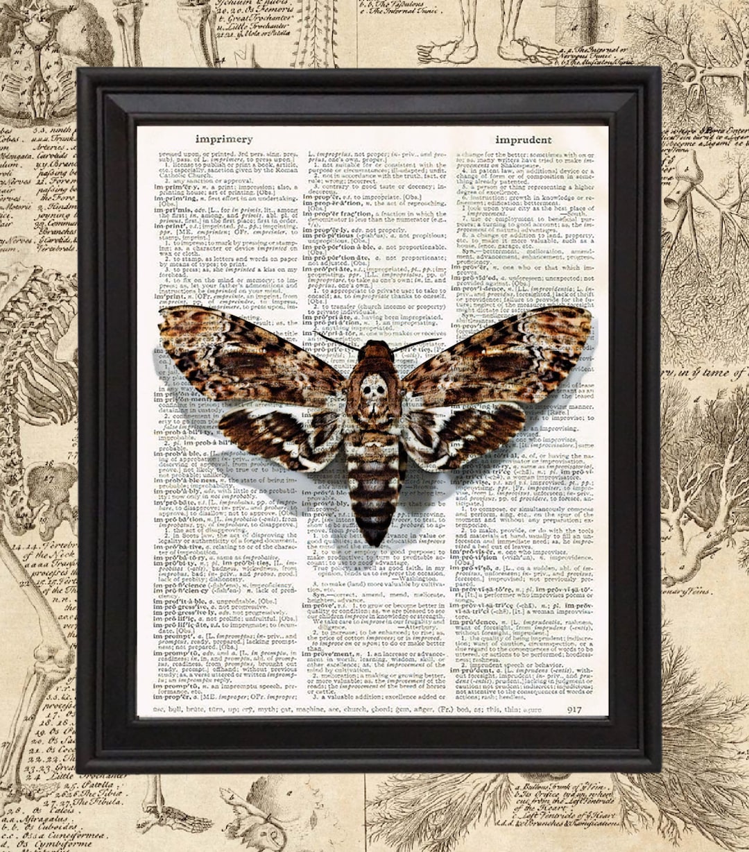 Deaths Head Moth Art Print Moth Wall Art Cool Creepy Decor Goth Home ...