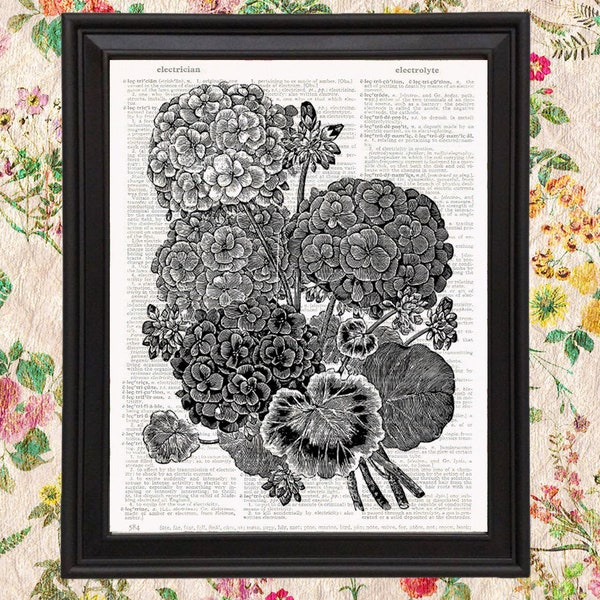 Geranium Print - Etsy