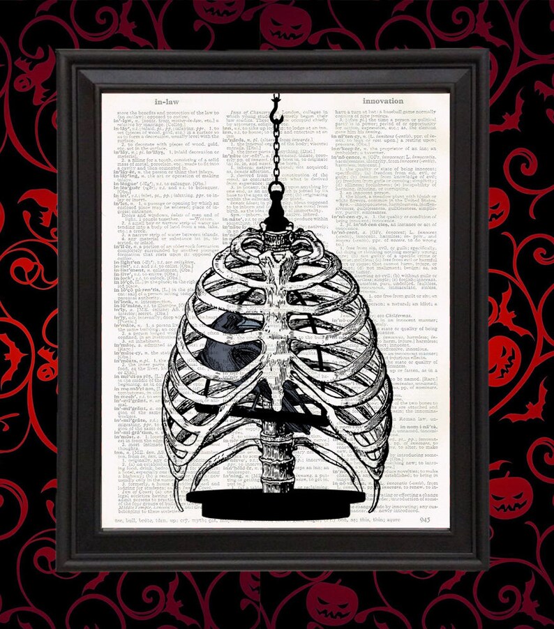 Raven in Skeleton Rib Cage Horror Home Decor Gothic Decor Goth - Etsy