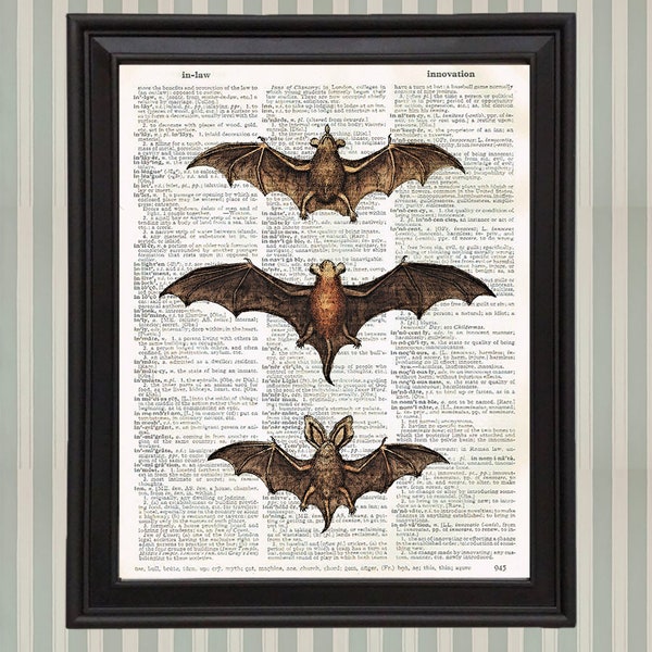 Vintage Bat Print - Etsy