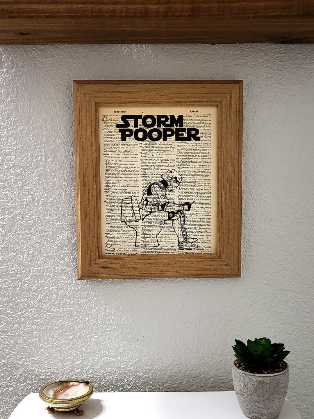 Storm Pooper 8x10 Print on Vintage Dictionary Page, Funny Star Wars ...