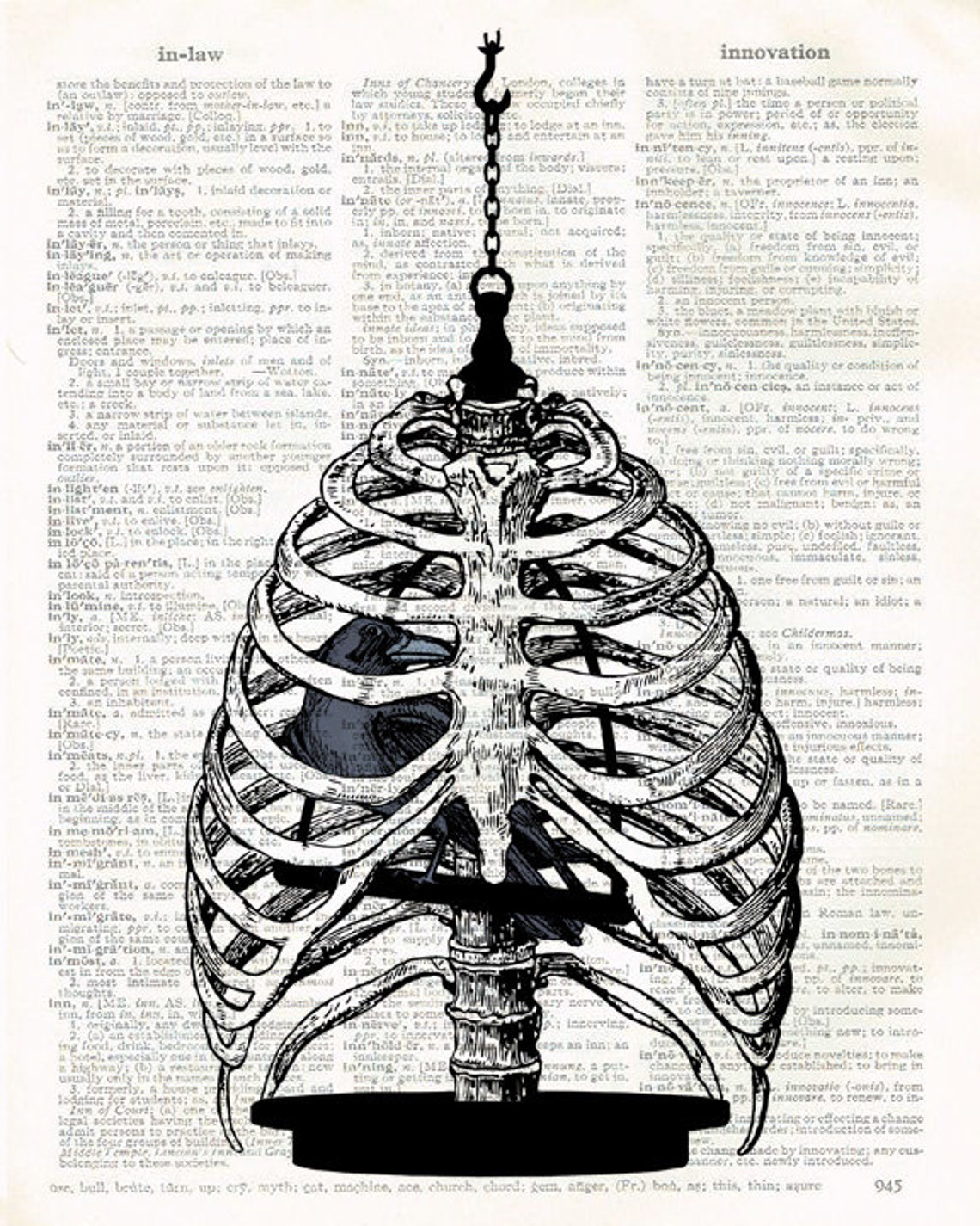 Raven in Skeleton Rib Cage Horror Home Decor Gothic Decor Goth - Etsy