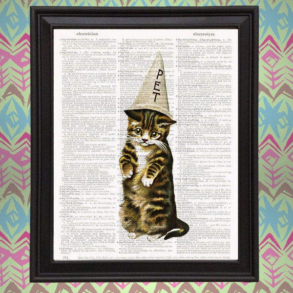 Cat Dunce Cap - Etsy