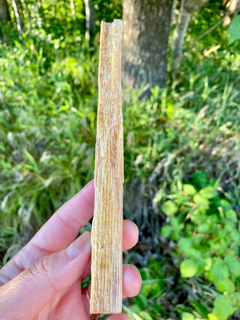 Fatwood Sticks Sold Individually Pine Fatwood Pine - Etsy