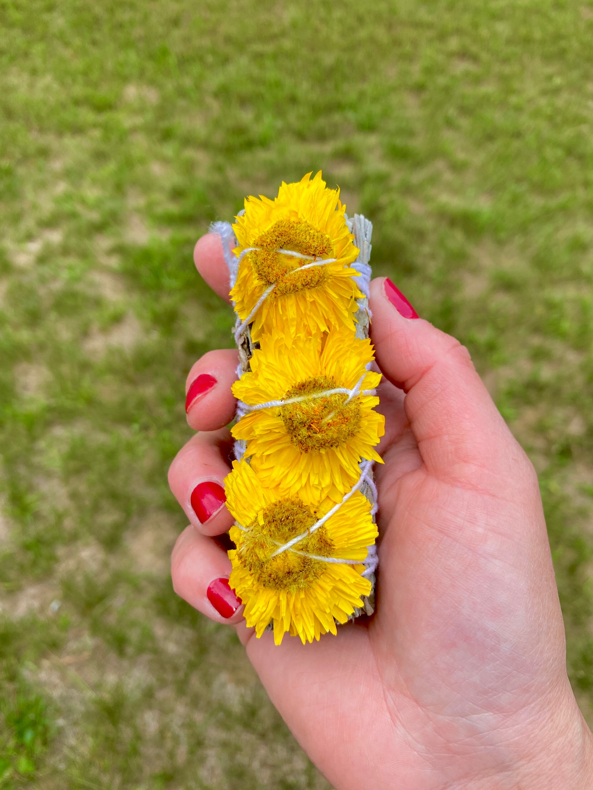White Sage and Sunflowers - Organic - Wild Harvest