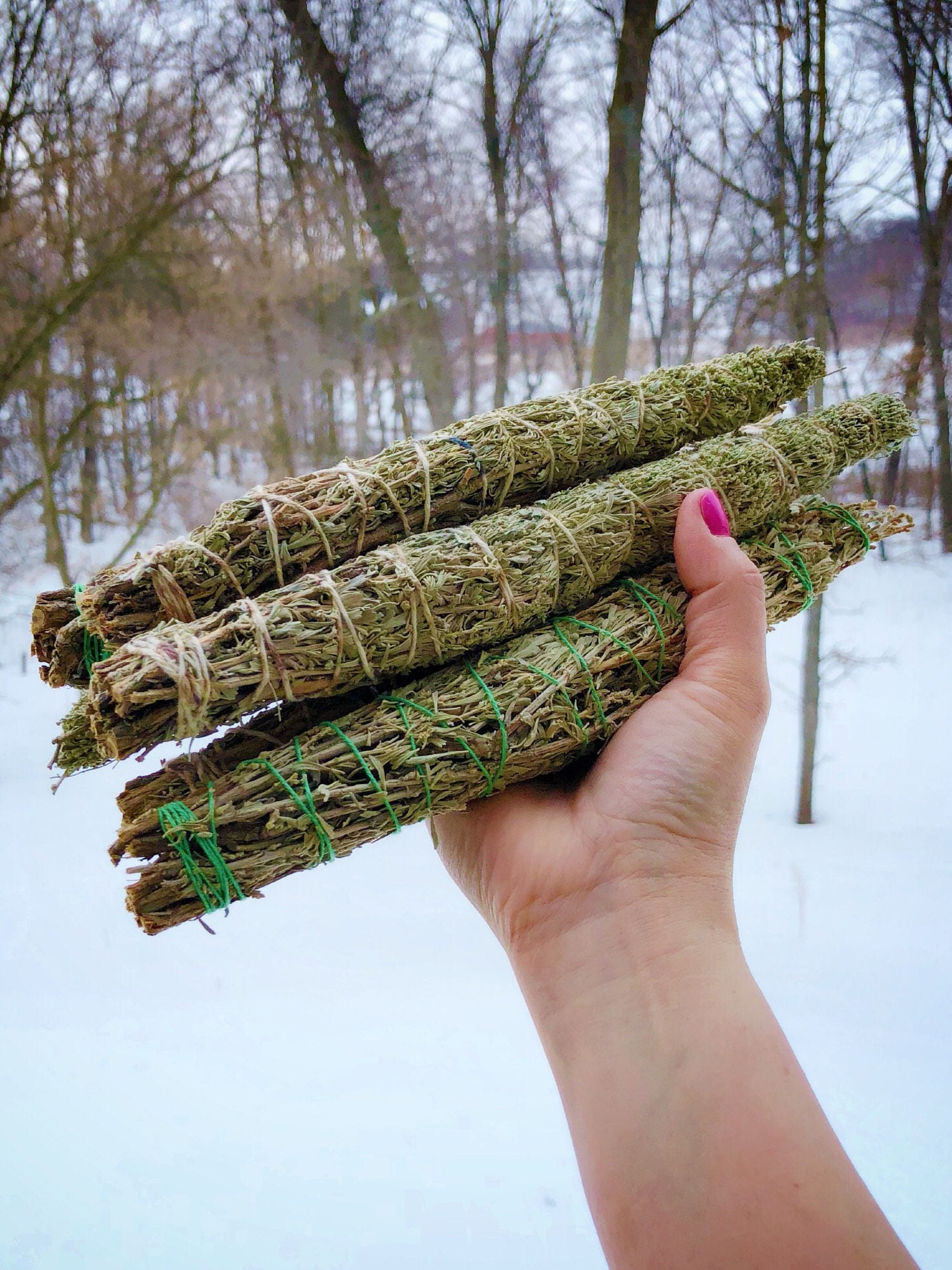 Blue Sage Smudge Stick - Extra Large - Sold Individually - Smudge Wand ...