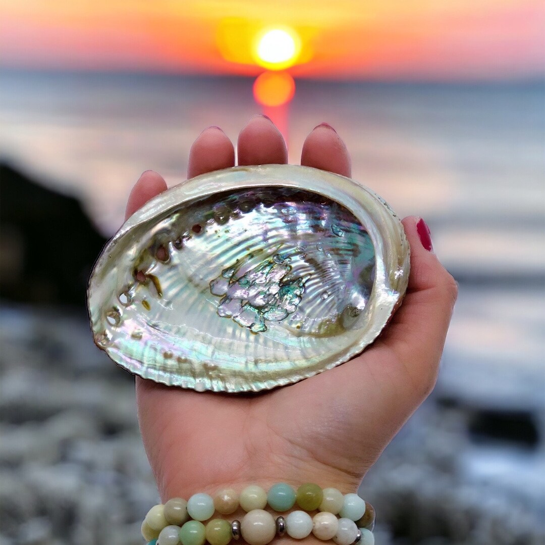 Abalone Shell - Perfect for Smudge Sticks - Alter Tool - High Quality ...